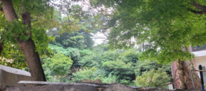 대장옥션 모바일웹